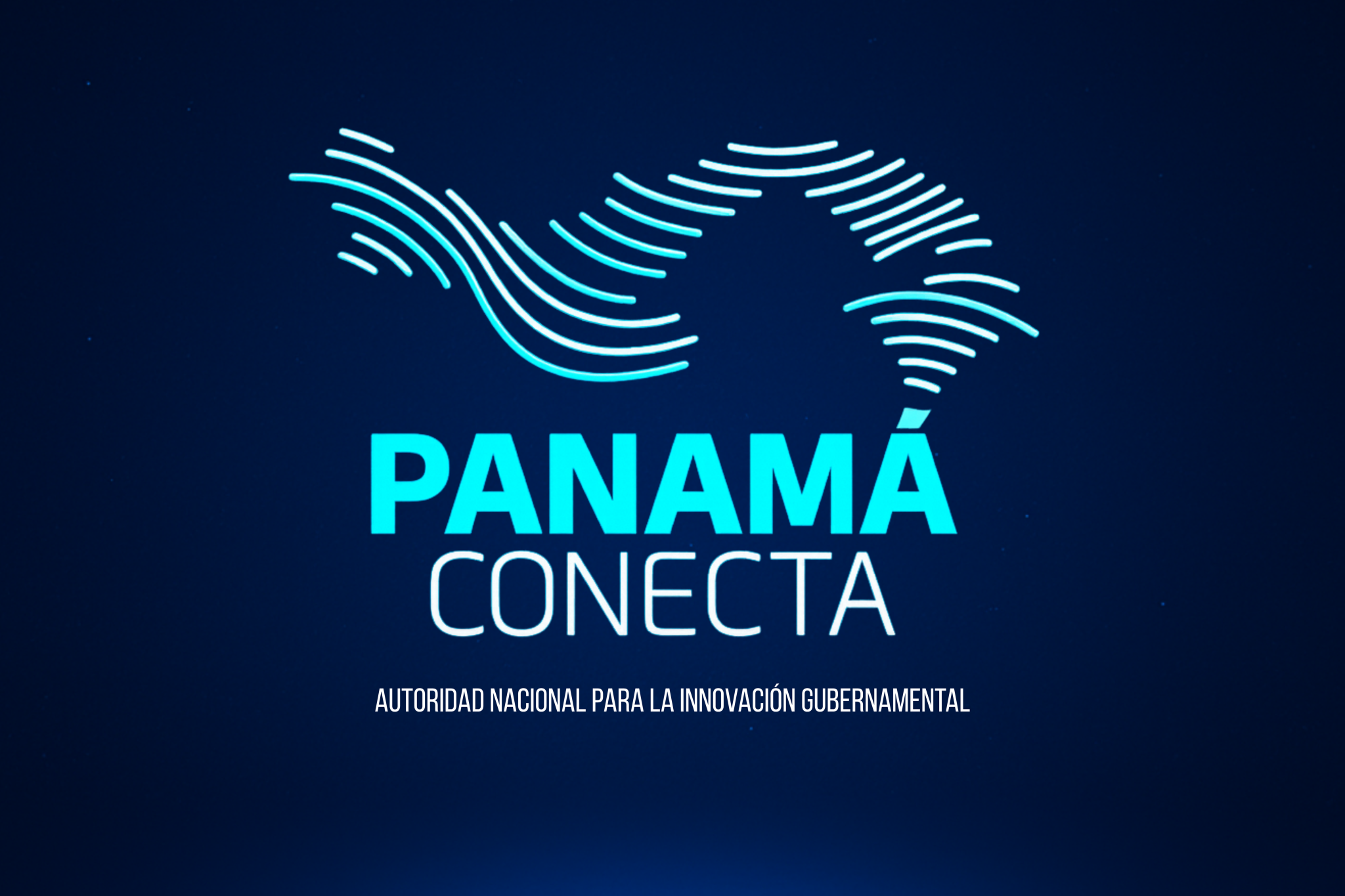 Autoridad Nacional para la Innovación Gubernamental